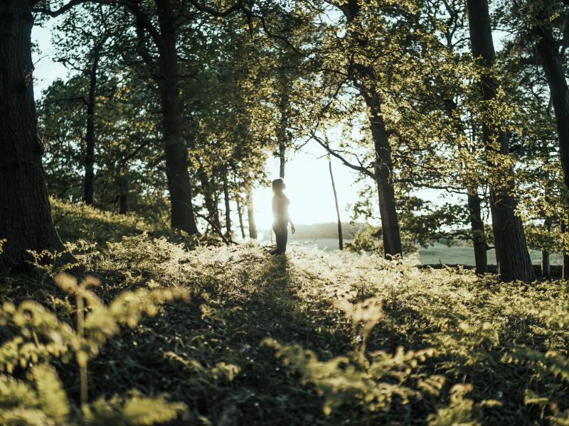 Golden Leas Holiday Park, Kent | UK Parks